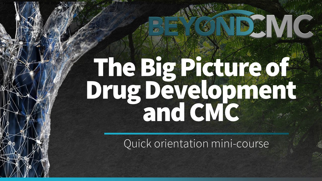 Introduction to Drug Development and CMC